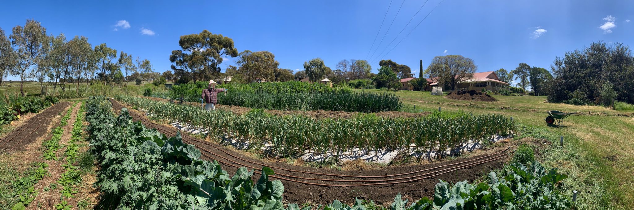 Organic, Biodynamic Farm Tours, Farm Stays.